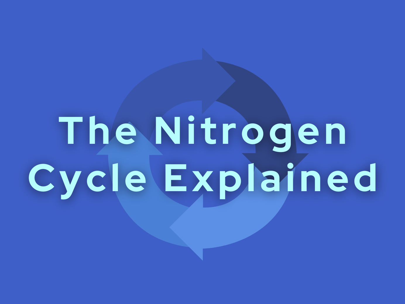 The Nitrogen Cycle Explained: Ultimate Guide to Cycling an Aquarium ...